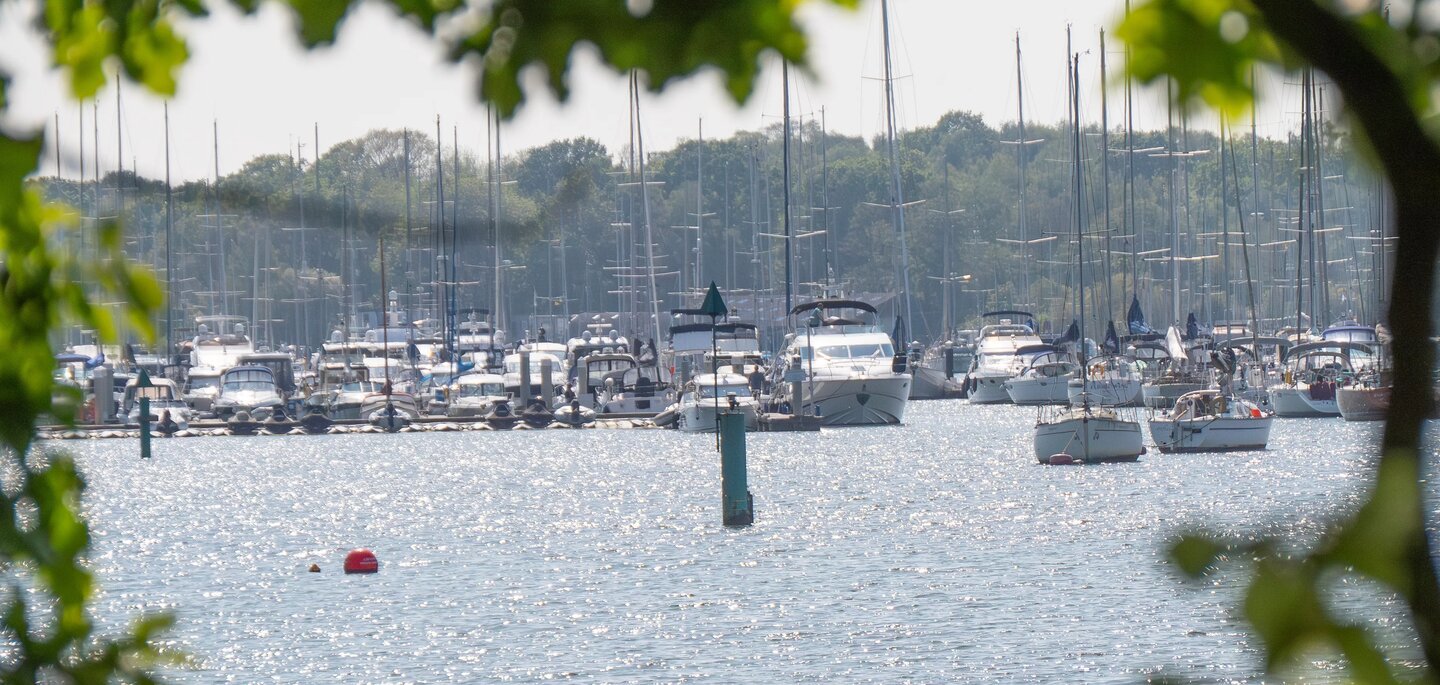 New people, new projects and summer events at Universal Marina